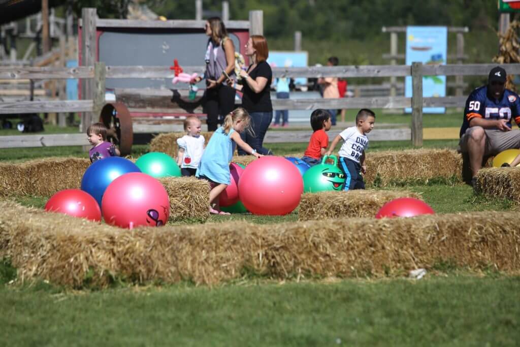 Fun for All Barnyard – All Seasons Orchard