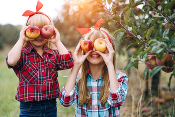 All Seasons Orchard | 30 Years of Fall Family Fun